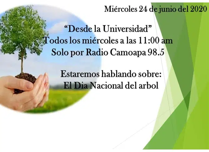 Día Mundial del árbol y el día mundial del profesional forestal | Radio ...