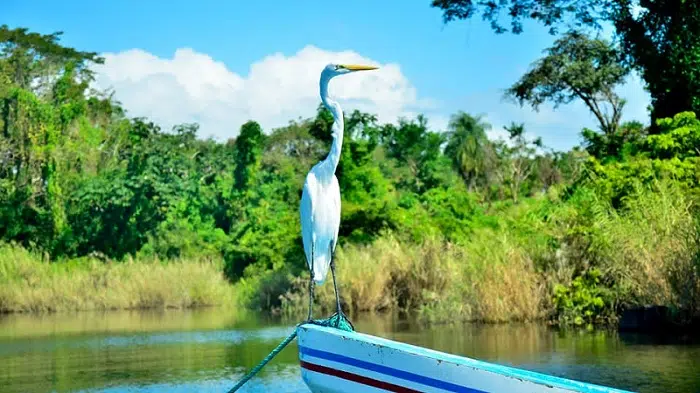El Archipiélago de Solentiname, un sitio de historia, turismo y ...